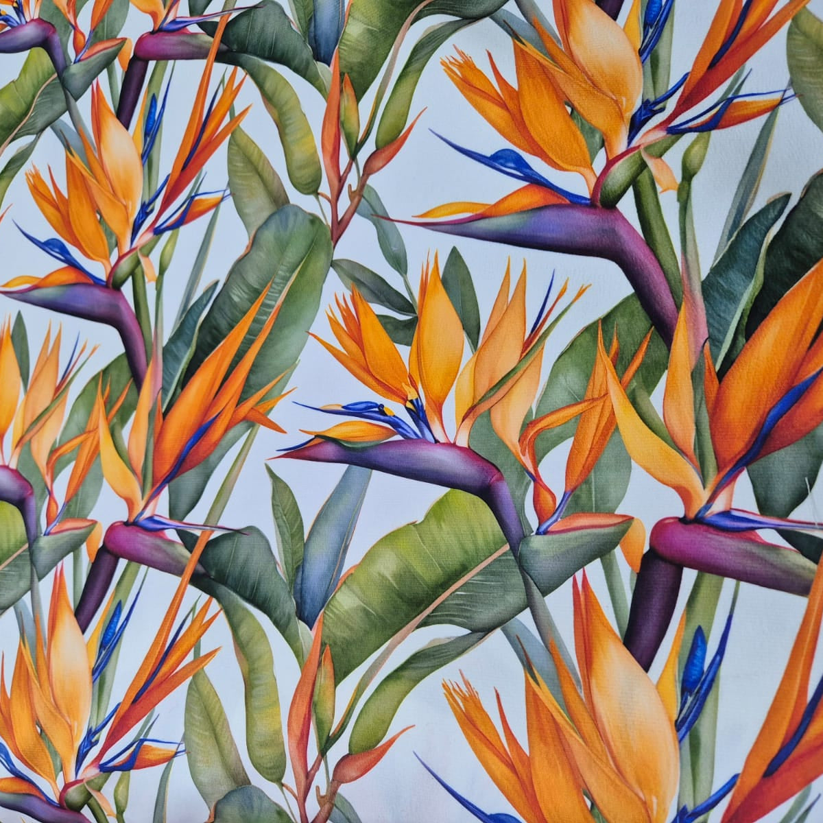 3D Printed Velvet- Bird of Paradise – Misbaah Stores